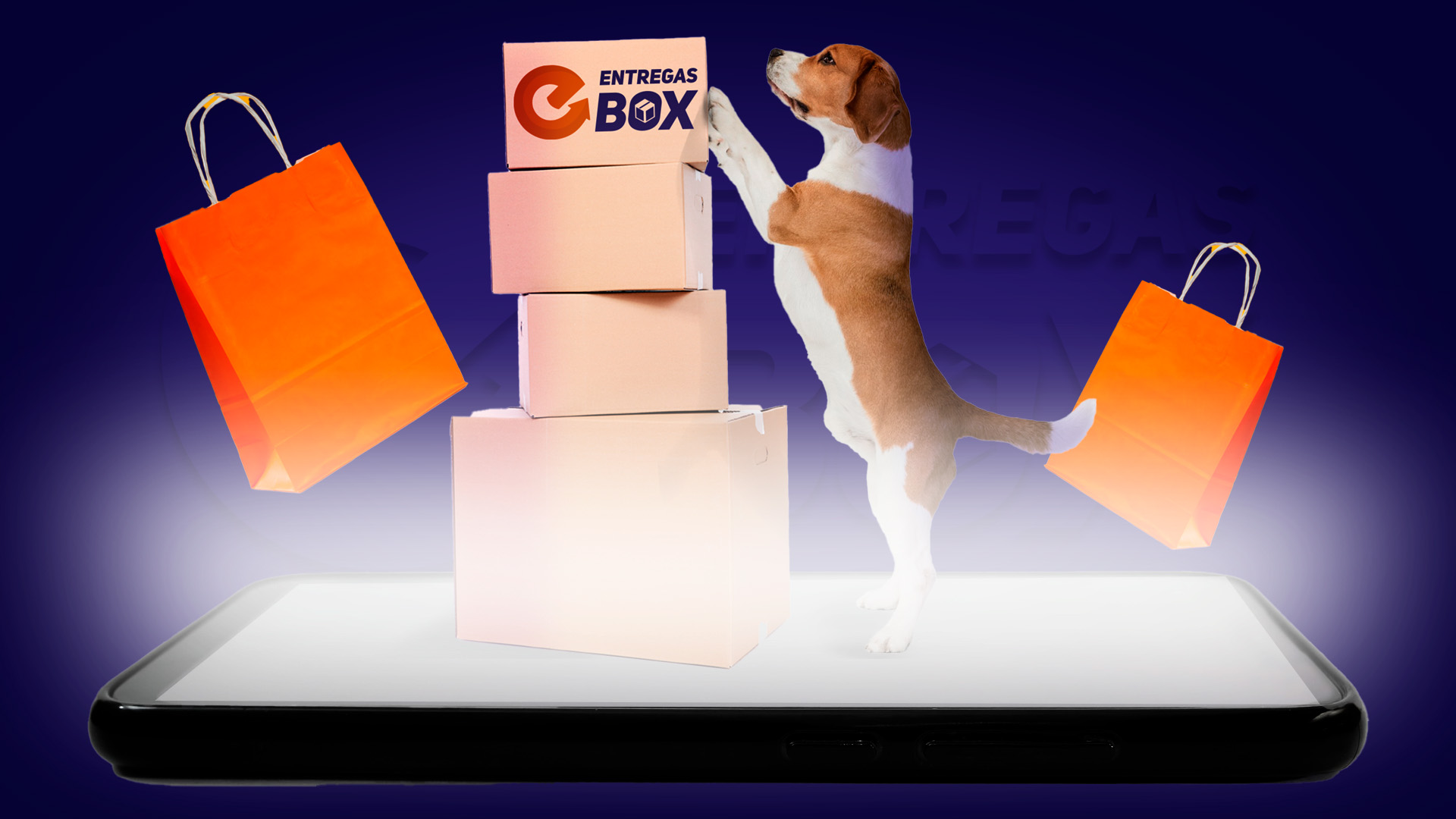 6 productos para mascotas que solo encuentras en USA | Entregas Box